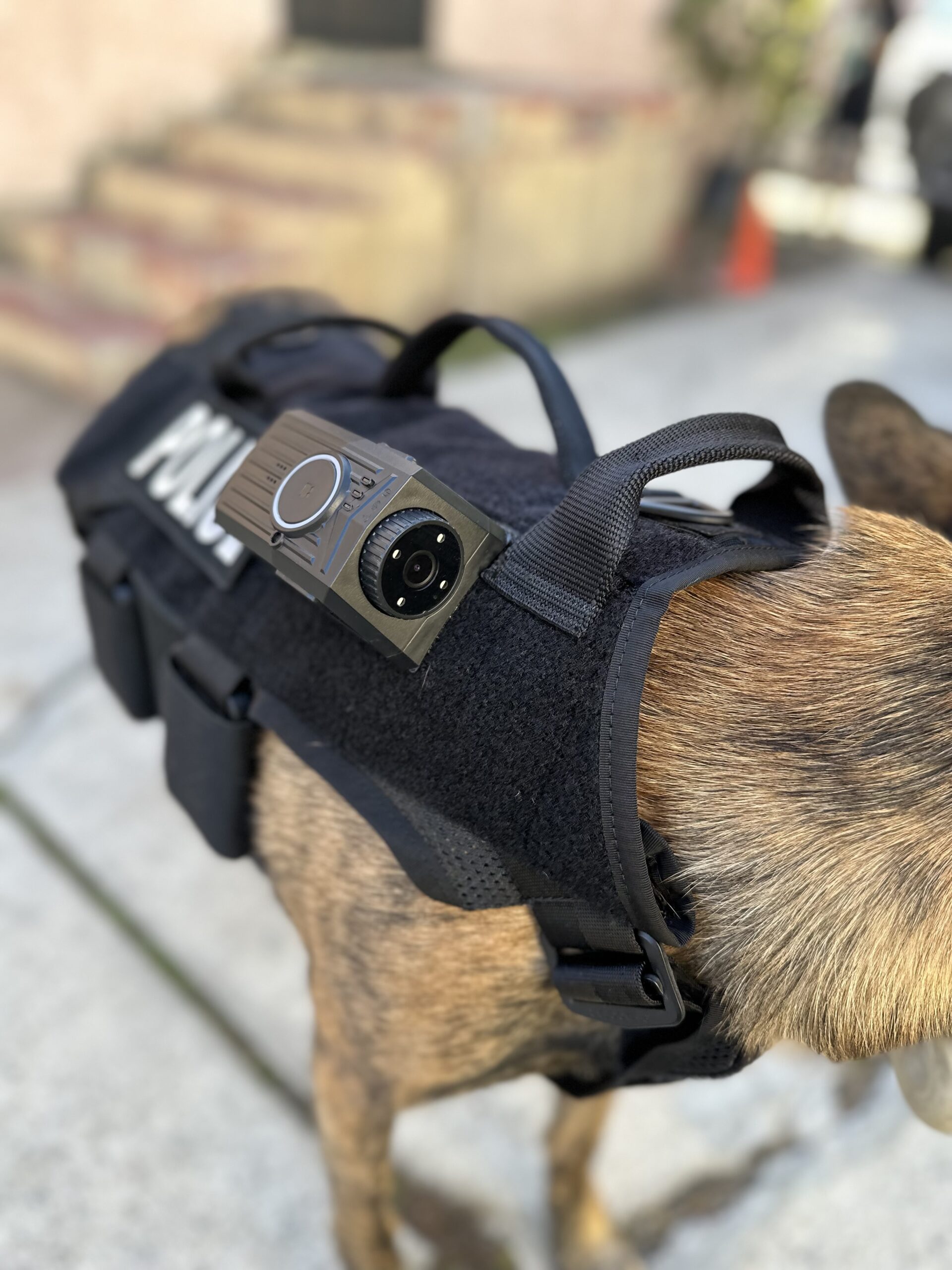 VLX CITE™ K9 Canine Worn Camera Kit – VisioLogix Corporation